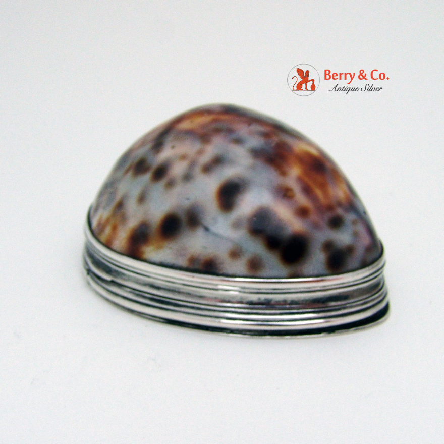 Irish Snuff Box Cowrie Shell John Egan 1800 Sterling Silver PHR | eBay
